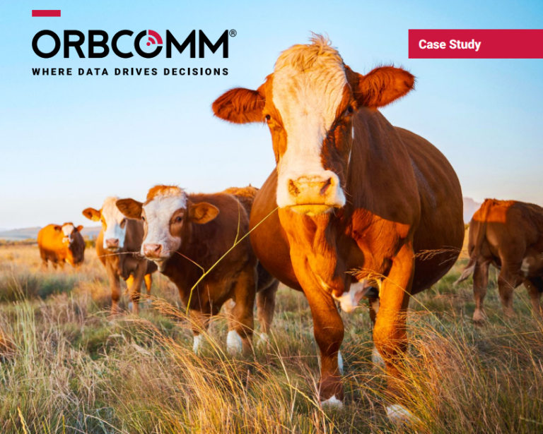 Driving IoT innovation: ORBCOMM’s highlights of 2024